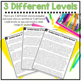 Main Idea Differentiated Reading Passages, Worksheets and Graphic ...